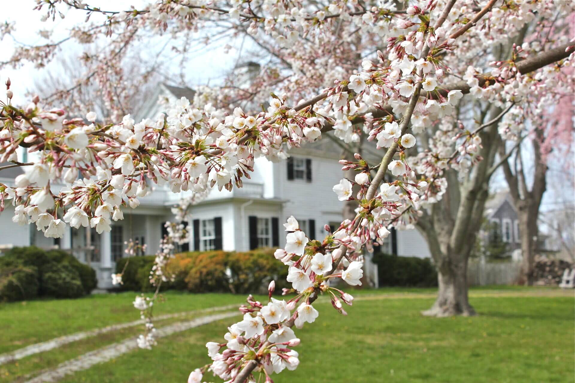 Inspire Spring | Susan Branch Blog