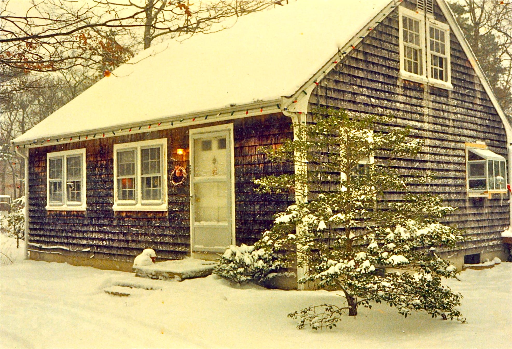 Susan Branch Blog | Susan Branch Blog | Page 23