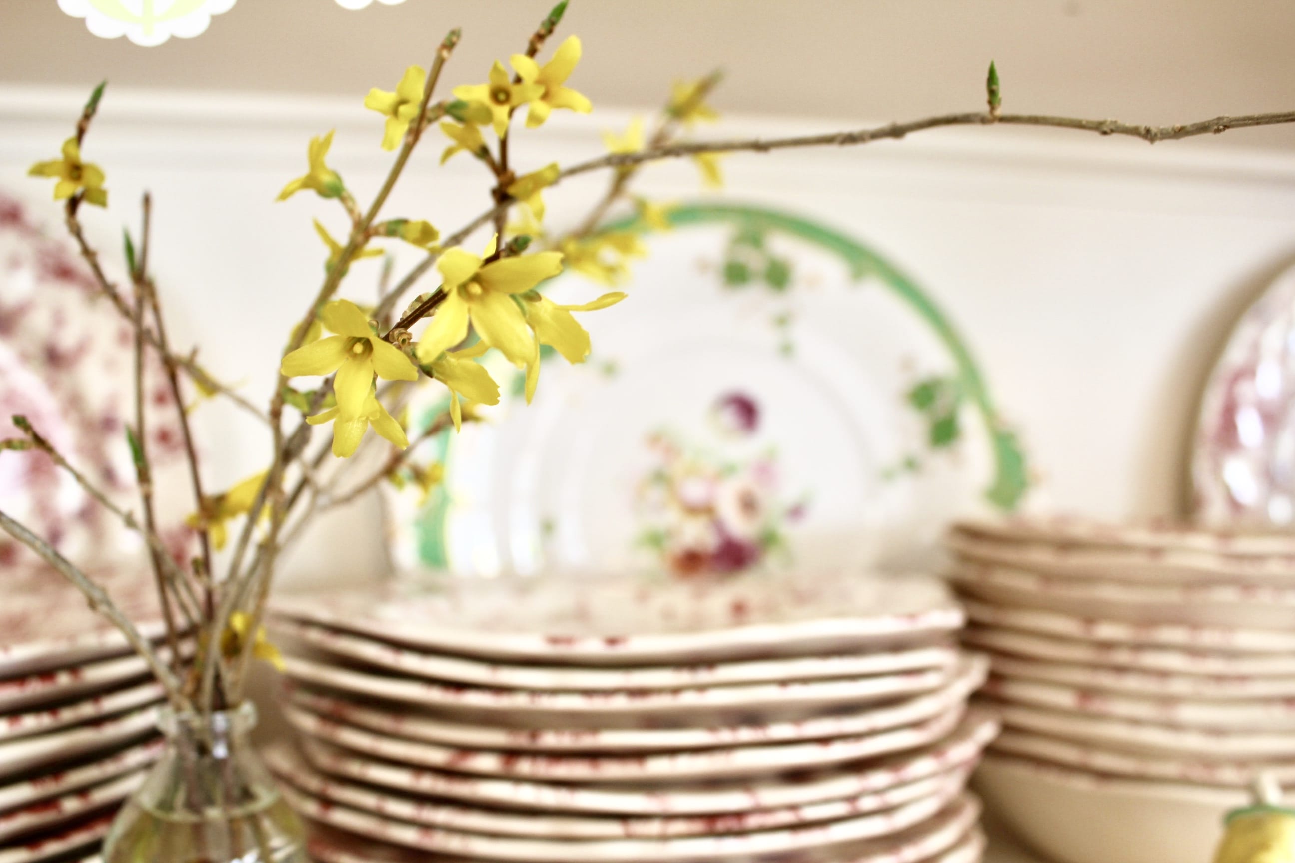 Susan Branch Blog | Susan Branch Blog | Page 24