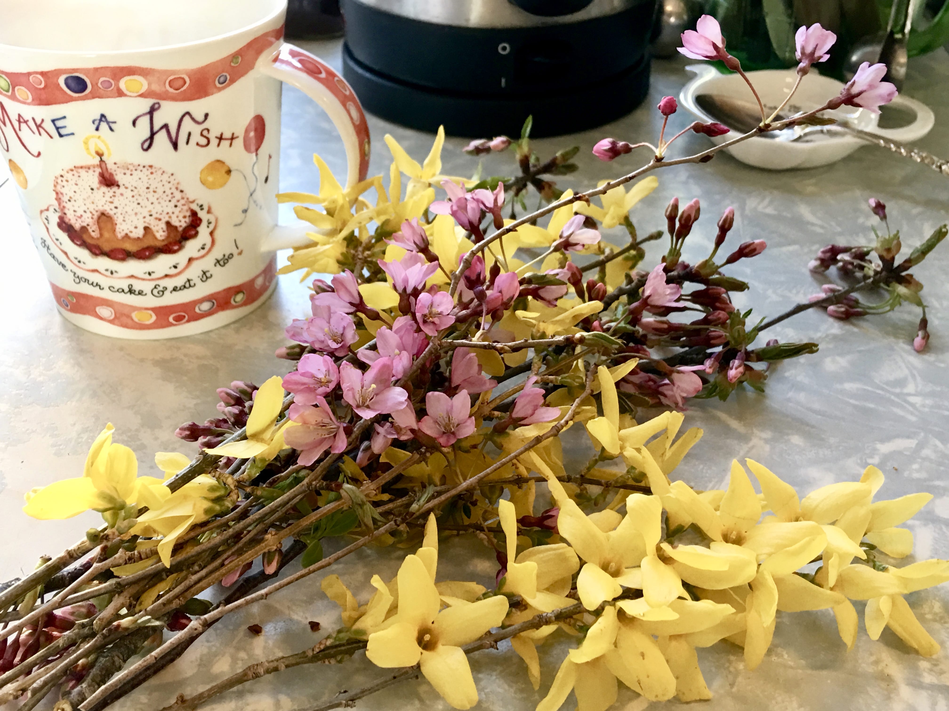 Susan Branch Blog | Susan Branch Blog | Page 24