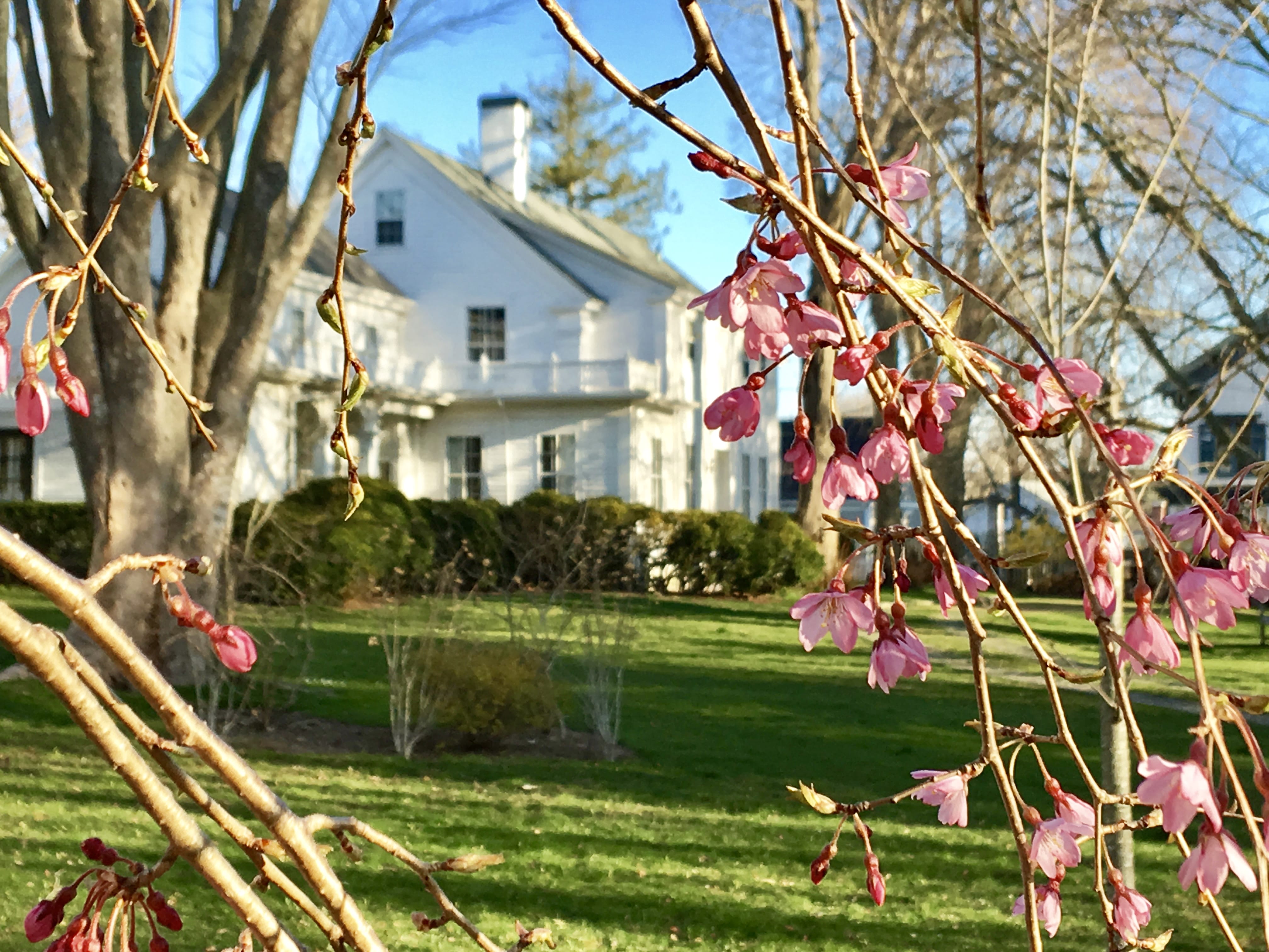 Susan Branch Blog | Susan Branch Blog | Page 24