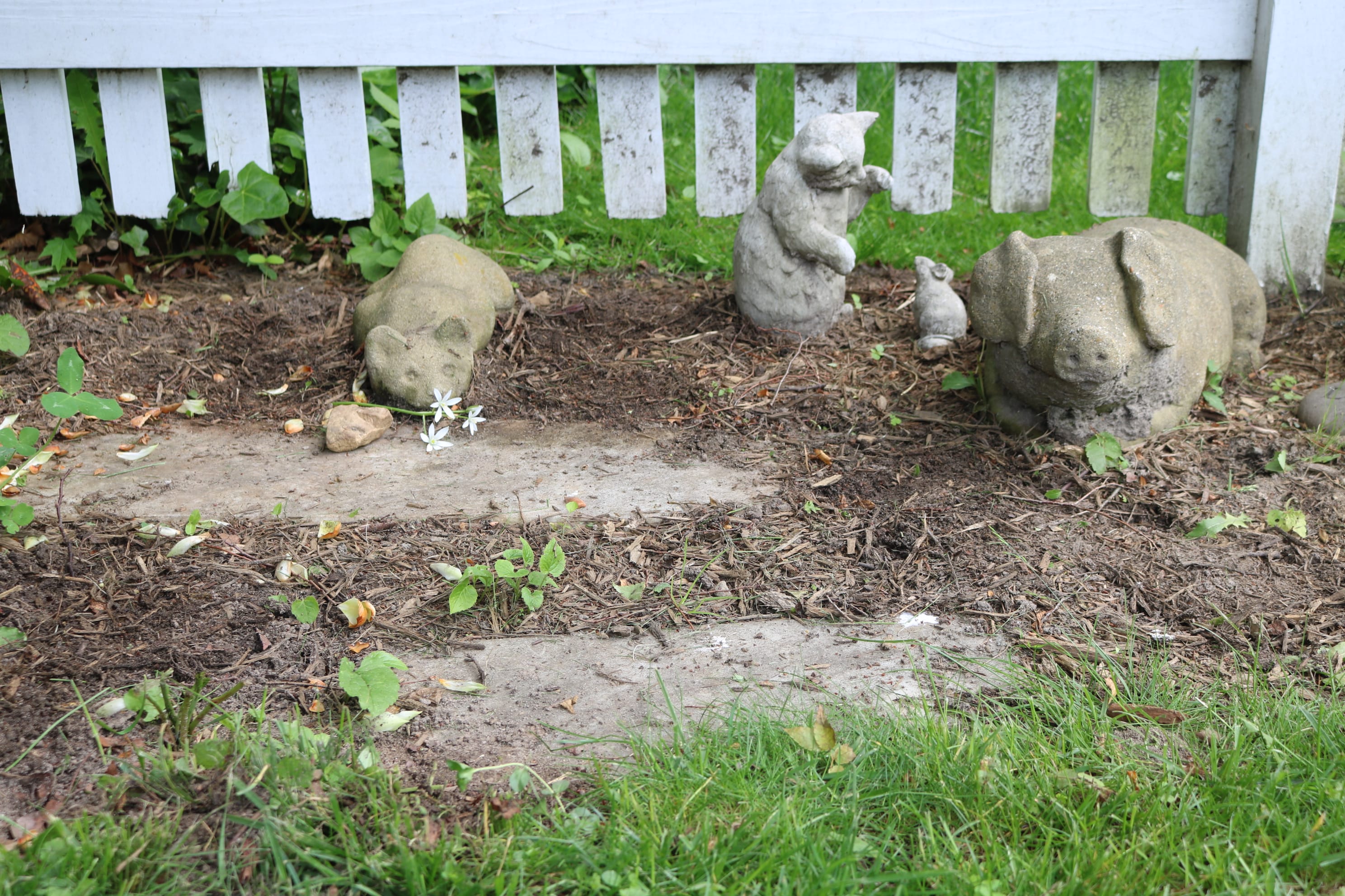 Susan Branch Blog | Susan Branch Blog | Page 23