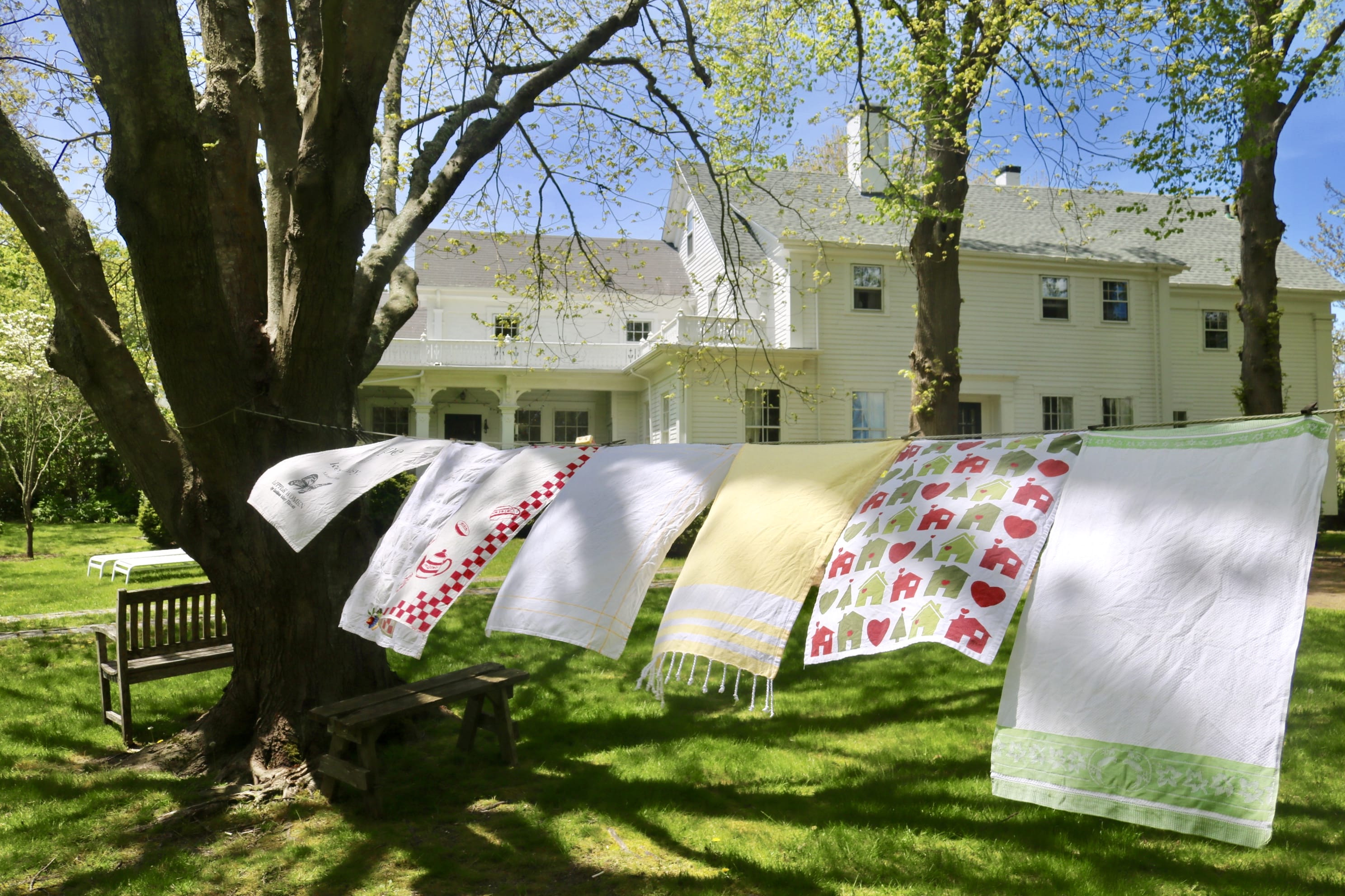 Susan Branch Blog | Susan Branch Blog | Page 23