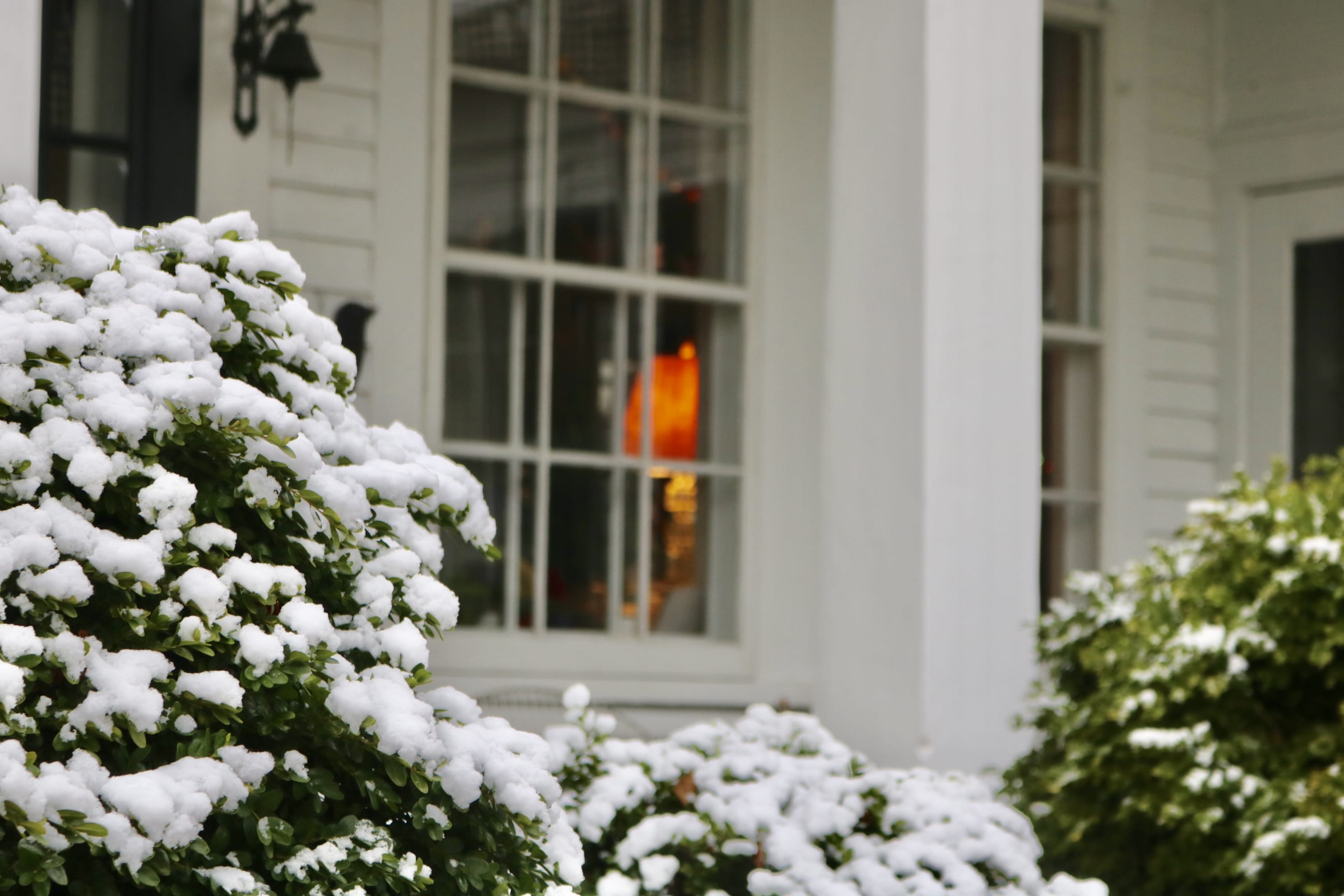 Susan Branch Blog | Susan Branch Blog | Page 13