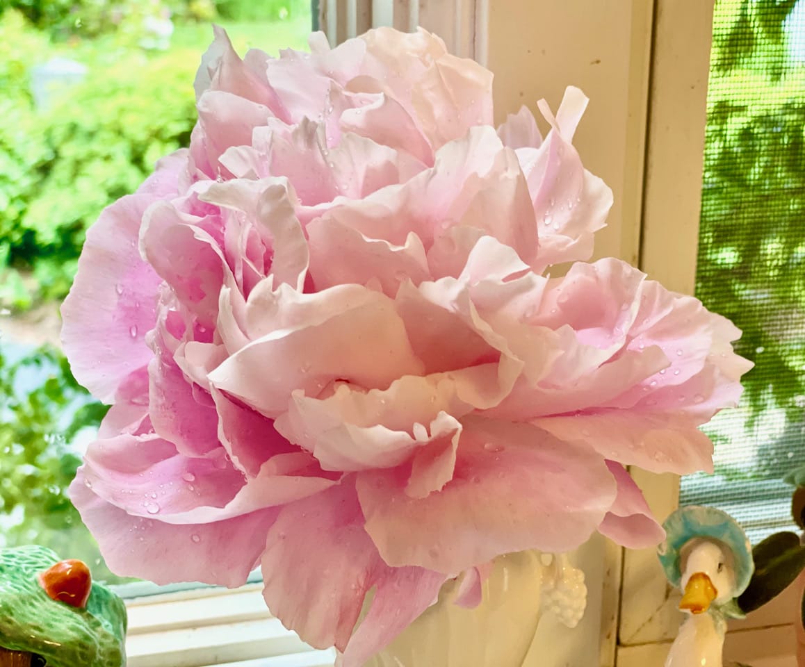 | Susan Branch Blog | Page 24