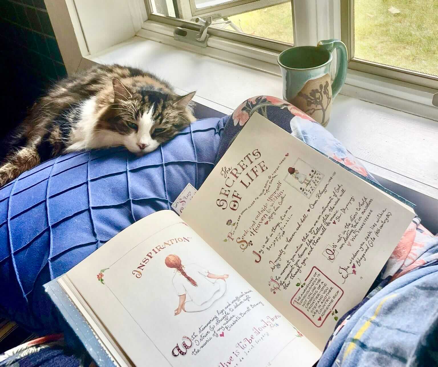 Susan Branch Blog | Susan Branch Blog | Page 7