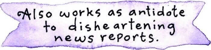 Susan Branch Blog | Susan Branch Blog | Page 2