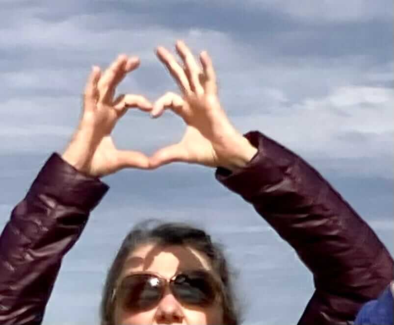 Susan Branch Blog | Susan Branch Blog