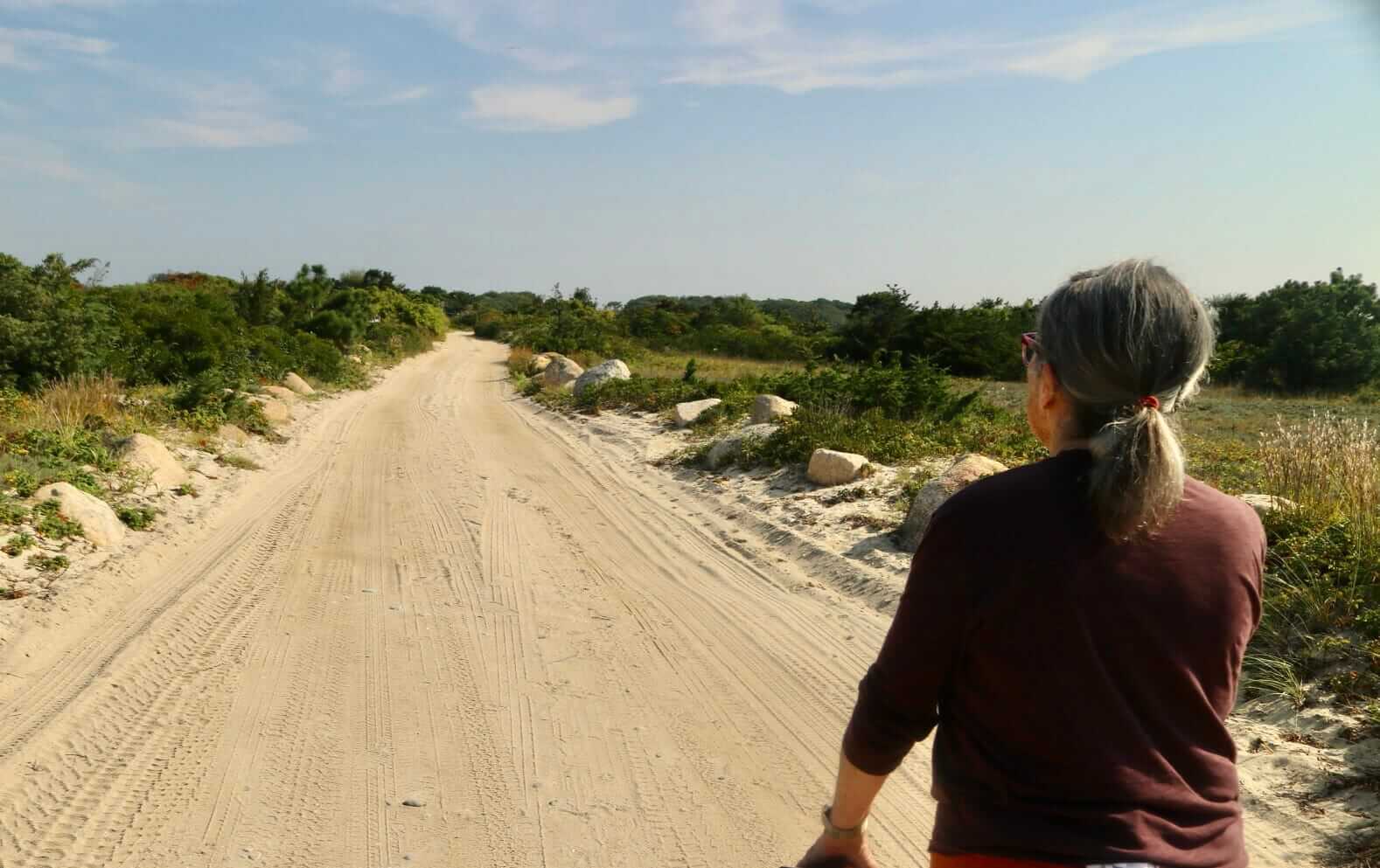 Susan Branch Blog | Susan Branch Blog