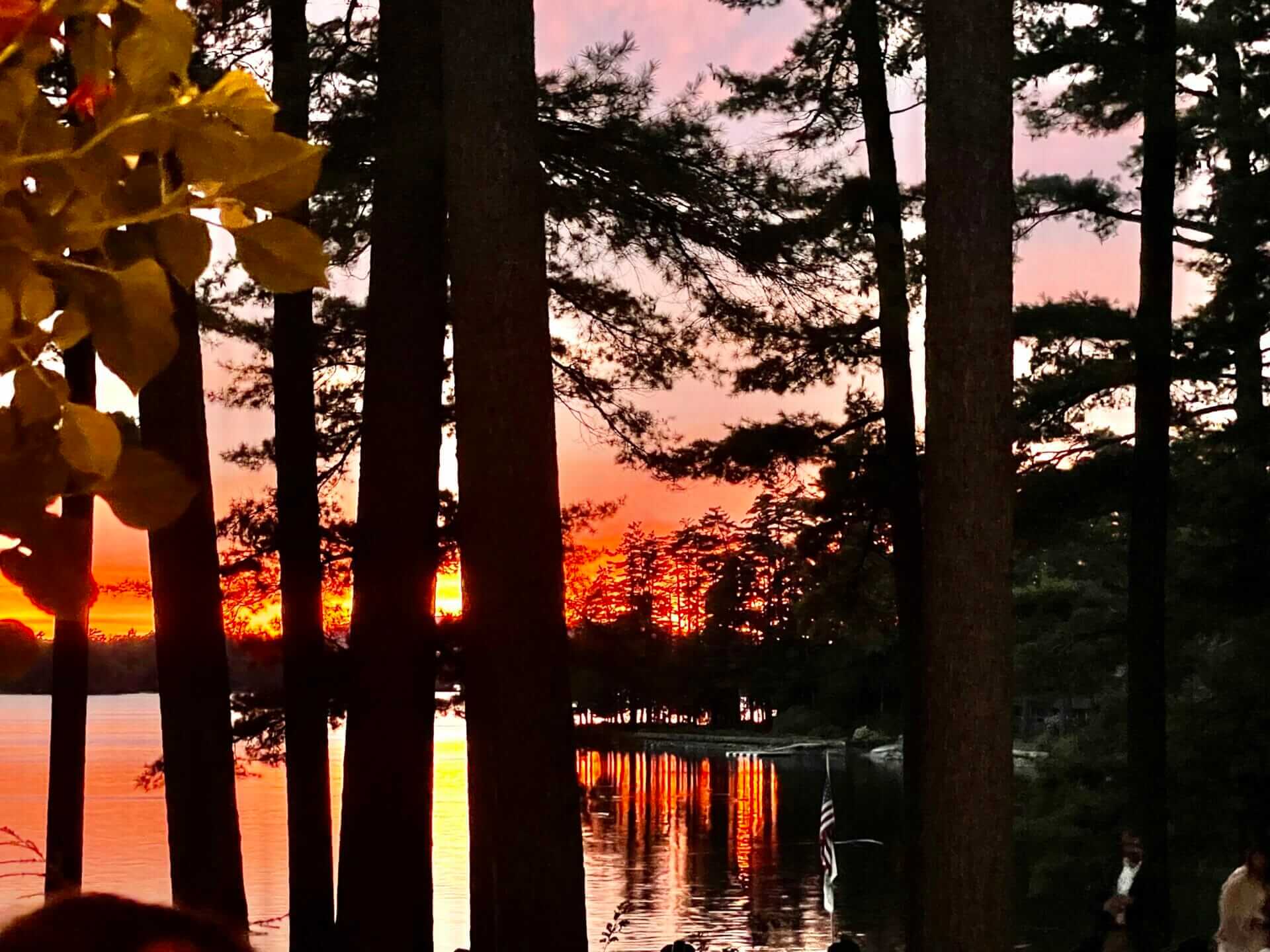 Susan Branch Blog | Susan Branch Blog