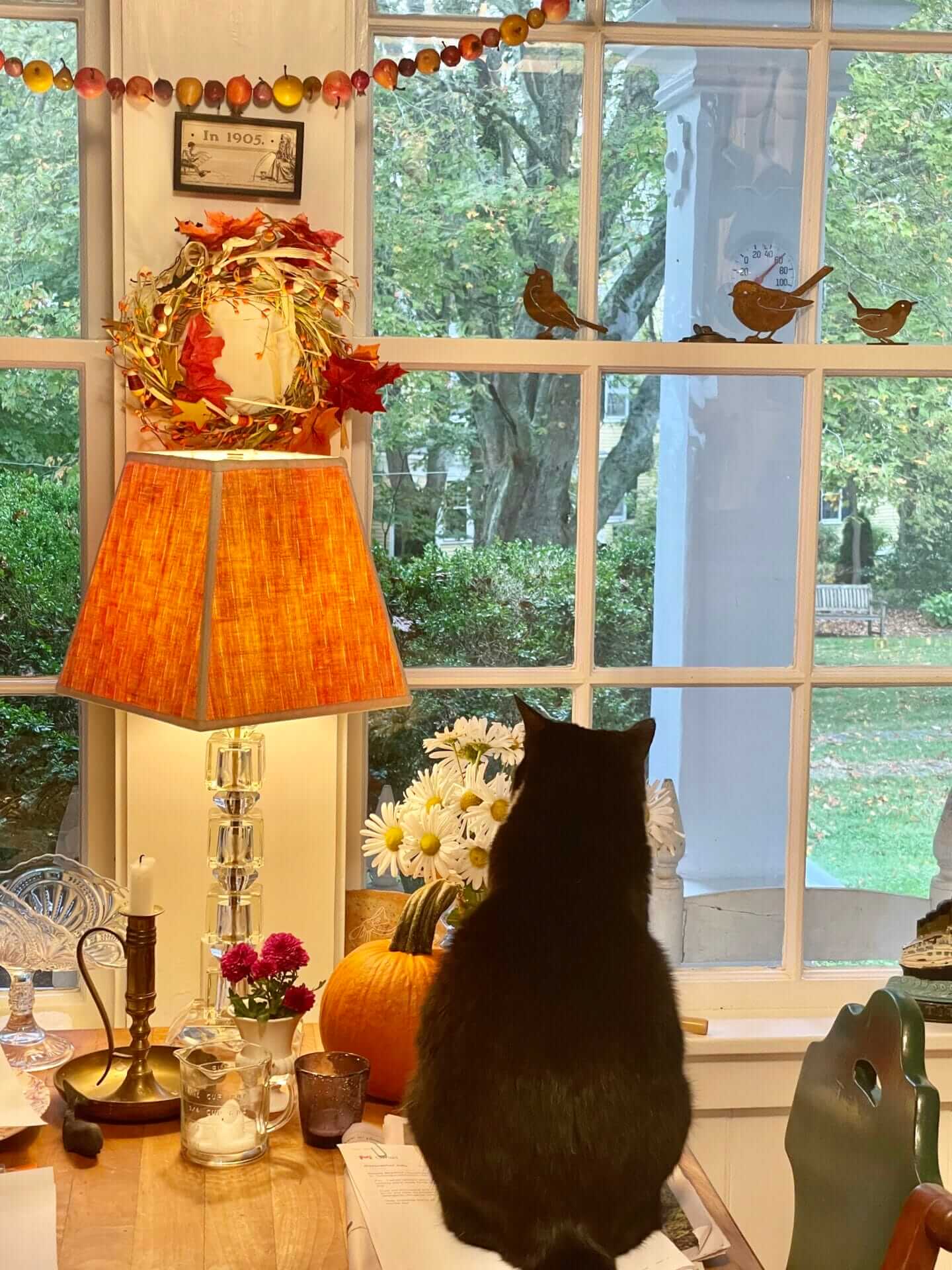 Susan Branch Blog | Susan Branch Blog