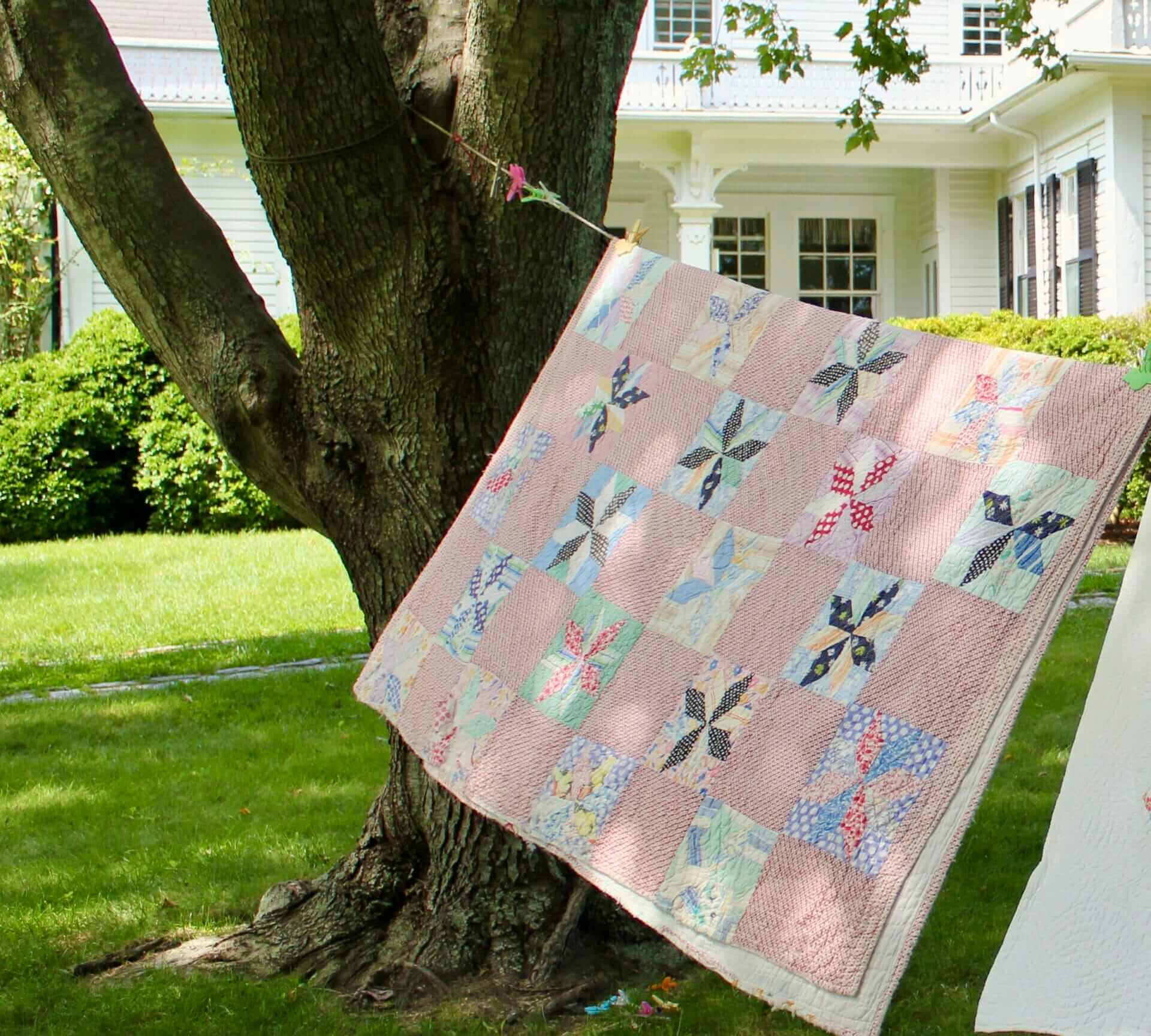 Susan Branch Blog | Susan Branch Blog | Page 2