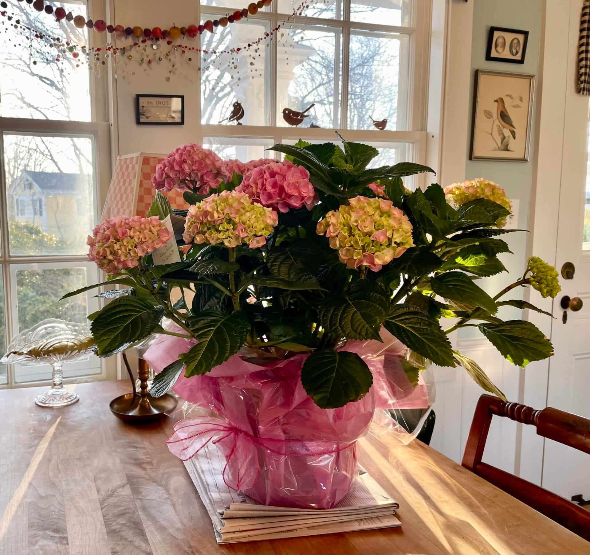 Susan Branch Blog | Susan Branch Blog | Page 3