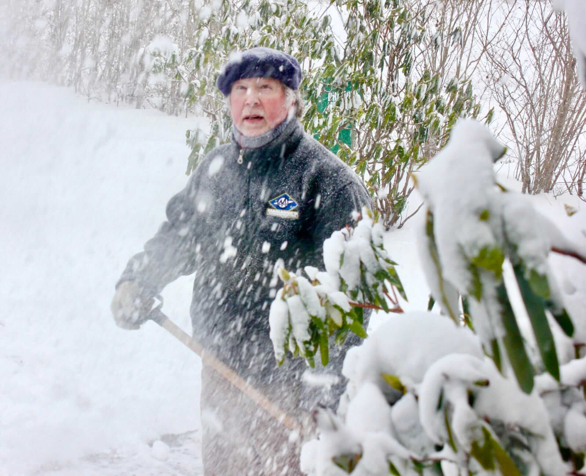 Susan Branch Blog | Susan Branch Blog