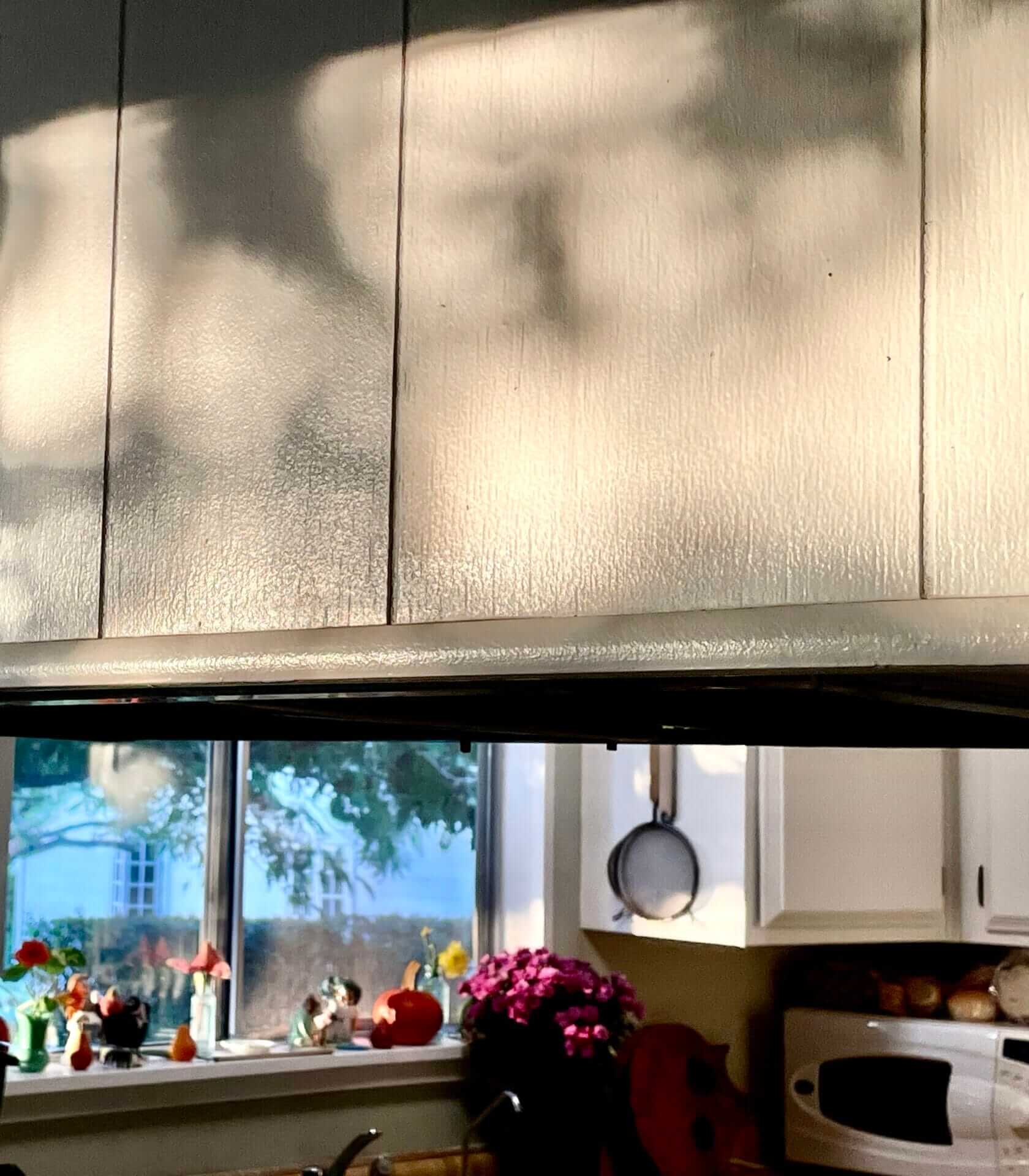 Susan Branch Blog | Susan Branch Blog